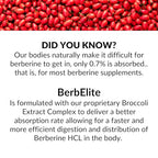 multivitamin for men supporting active lifestyles