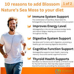 multivitamin for men supporting active lifestyles