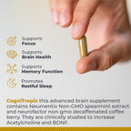 multivitamin for men supporting vitality