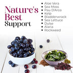 multivitamin for men supporting vitality