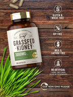 multivitamin for men supporting vitality