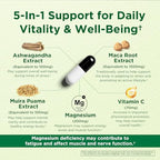 multivitamin for men supports mood