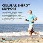 multivitamin for men to boost energy