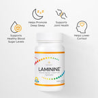 multivitamin for men to boost energy