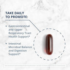 multivitamin for men to boost energy