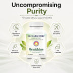 multivitamin for men to boost energy