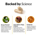 multivitamin for men to enhance concentration