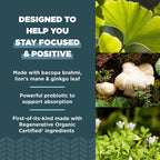 Multivitamin for men to enhance concentration