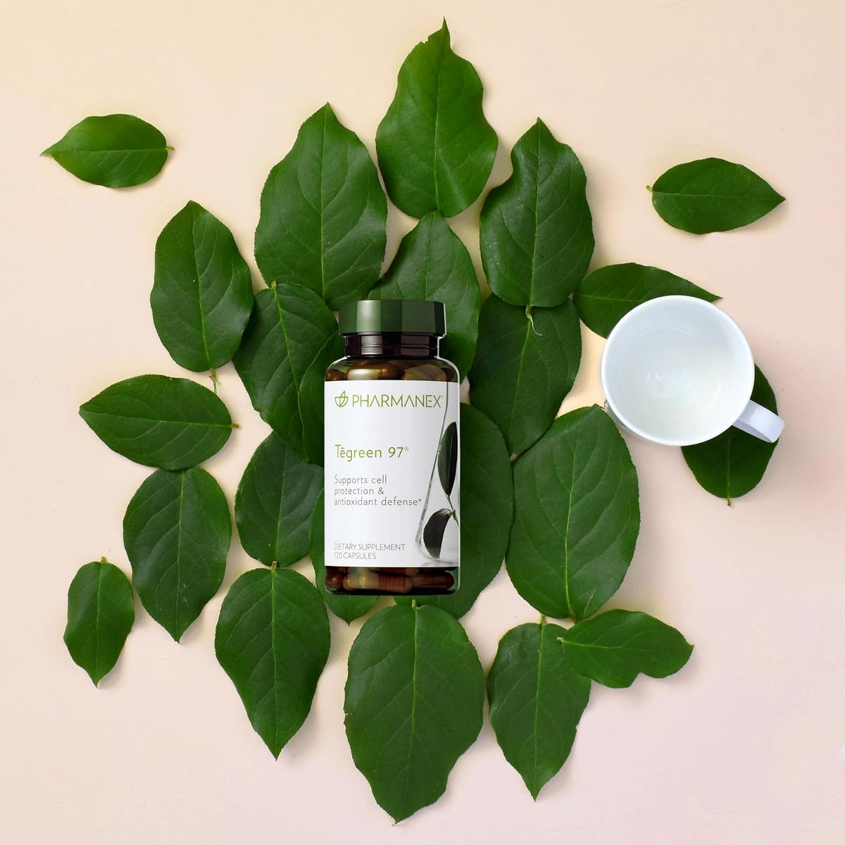 multivitamin for men to support health