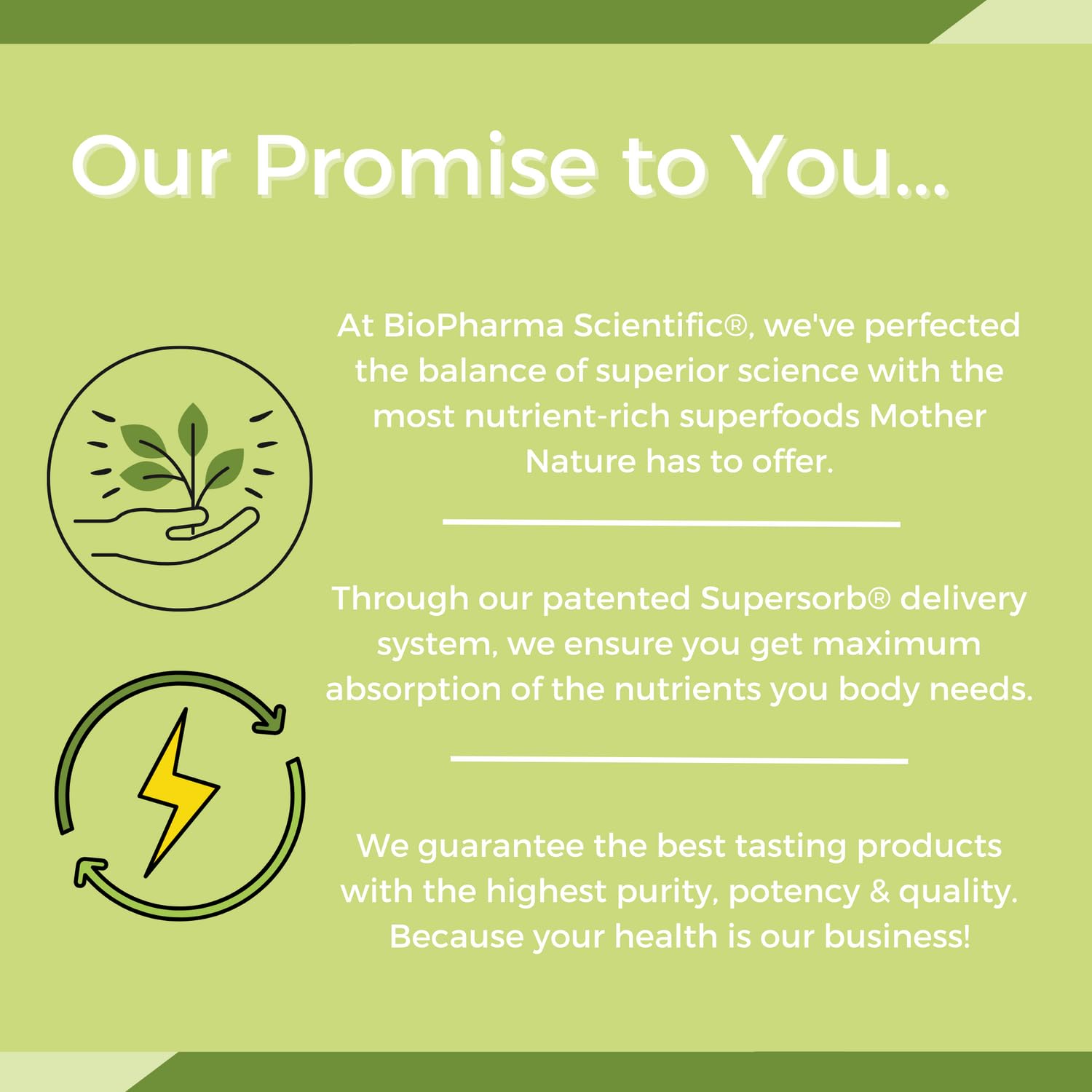 multivitamin for men to support health