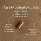 multivitamin for men to support vitality