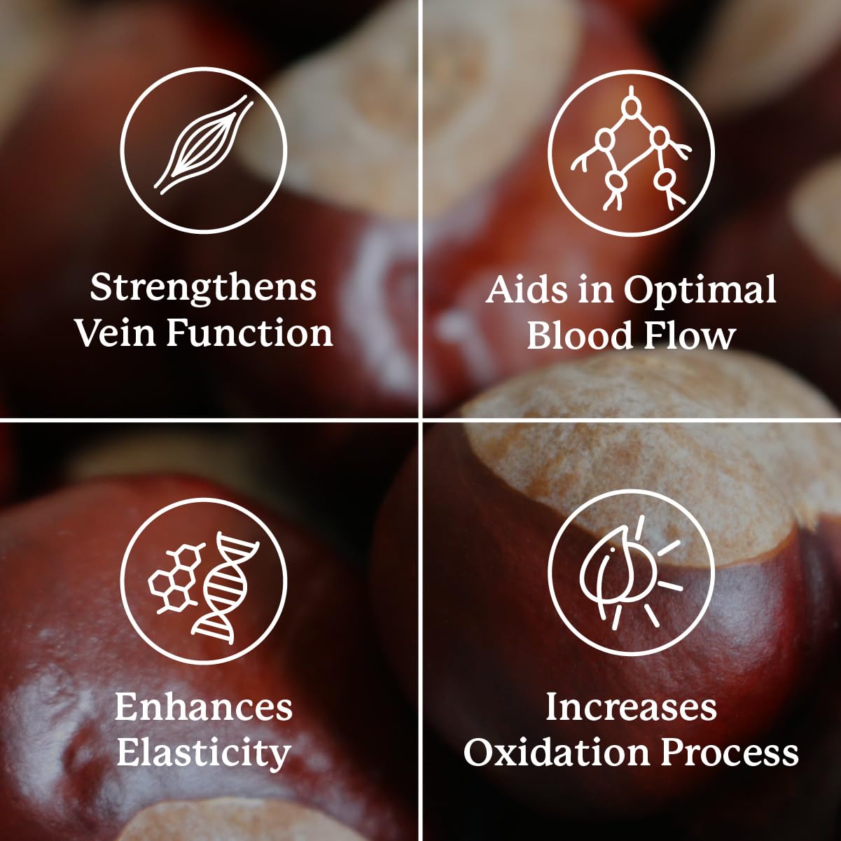 multivitamin for men to support vitality