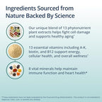 multivitamin for men to support vitality