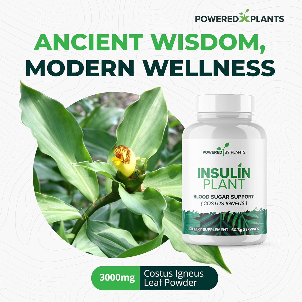multivitamin for men to support wellness