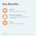 multivitamin for men to support wellness