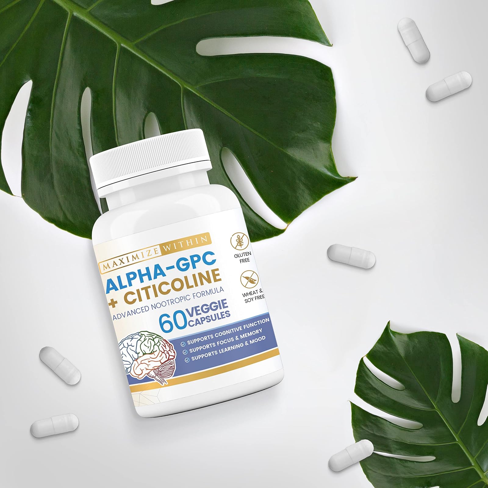 Multivitamin for men with Alpha GPC