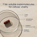 multivitamin for men with antioxidants