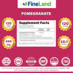 multivitamin for men with antioxidants