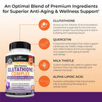 Multivitamin for men with antioxidants