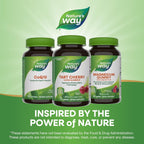multivitamin for men with antioxidants