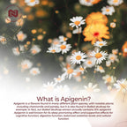 multivitamin for men with Apigenin