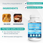 multivitamin for men with ashwagandha