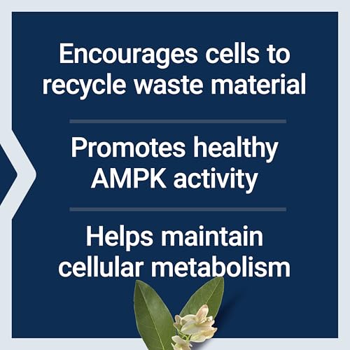 multivitamin for men with autophagy support