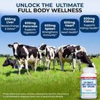 multivitamin for men with beef organs