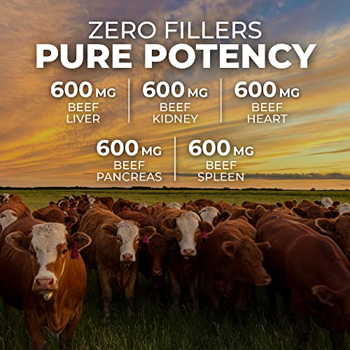 multivitamin for men with beef organs