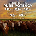 multivitamin for men with beef organs