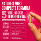 multivitamin for men with beef organs