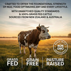 multivitamin for men with beef organs