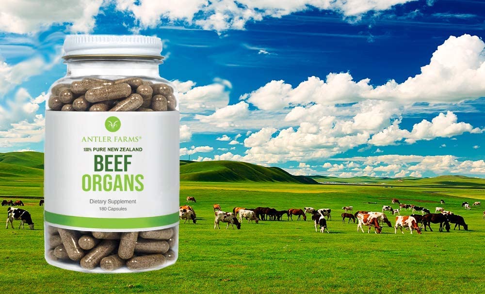 multivitamin for men with beef organs