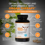 multivitamin for men with beef