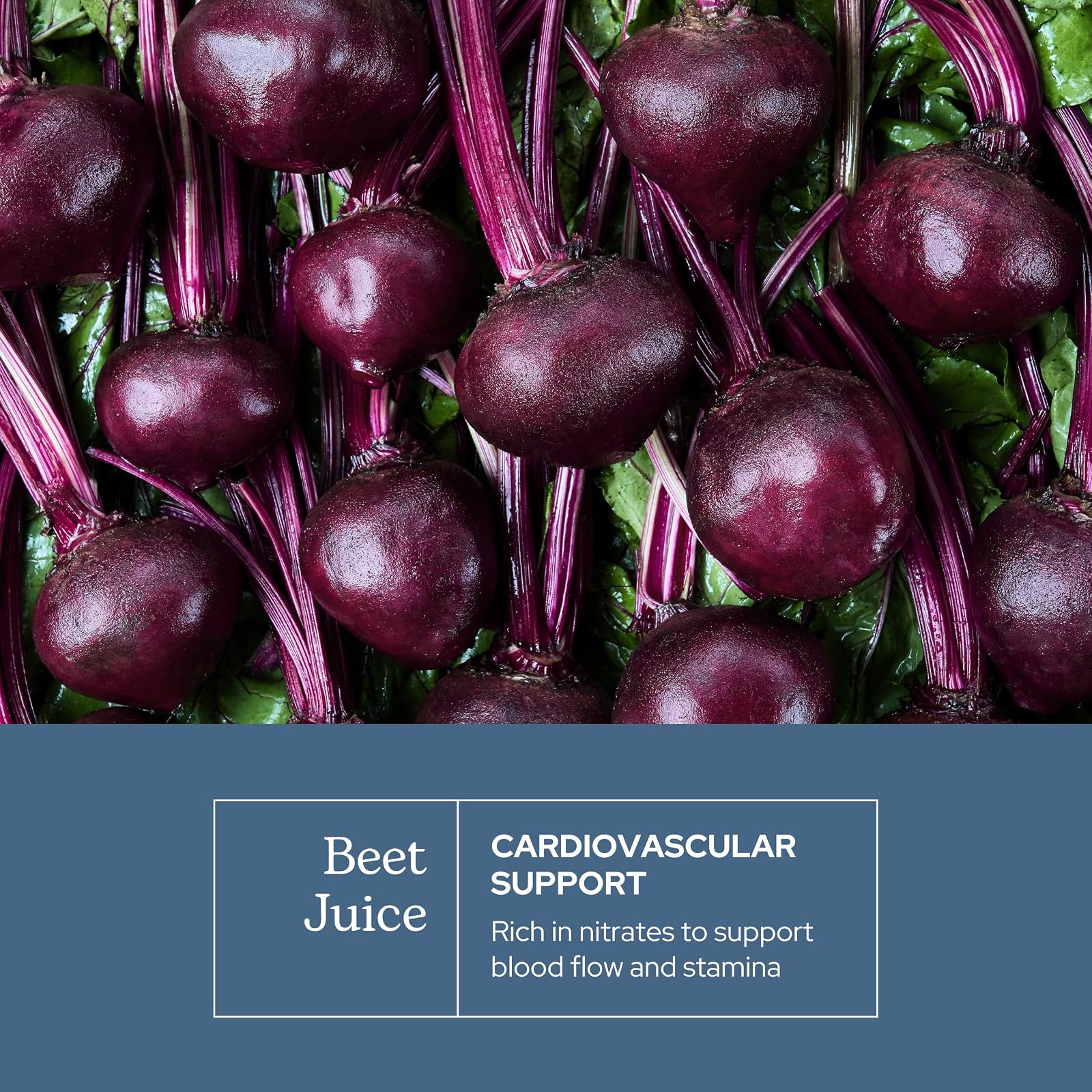 multivitamin for men with beet extract