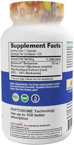 multivitamin for men with Berberine