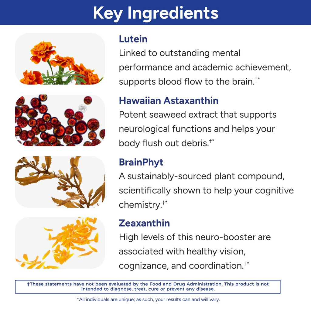 multivitamin for men with brain benefits