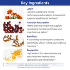 multivitamin for men with brain benefits