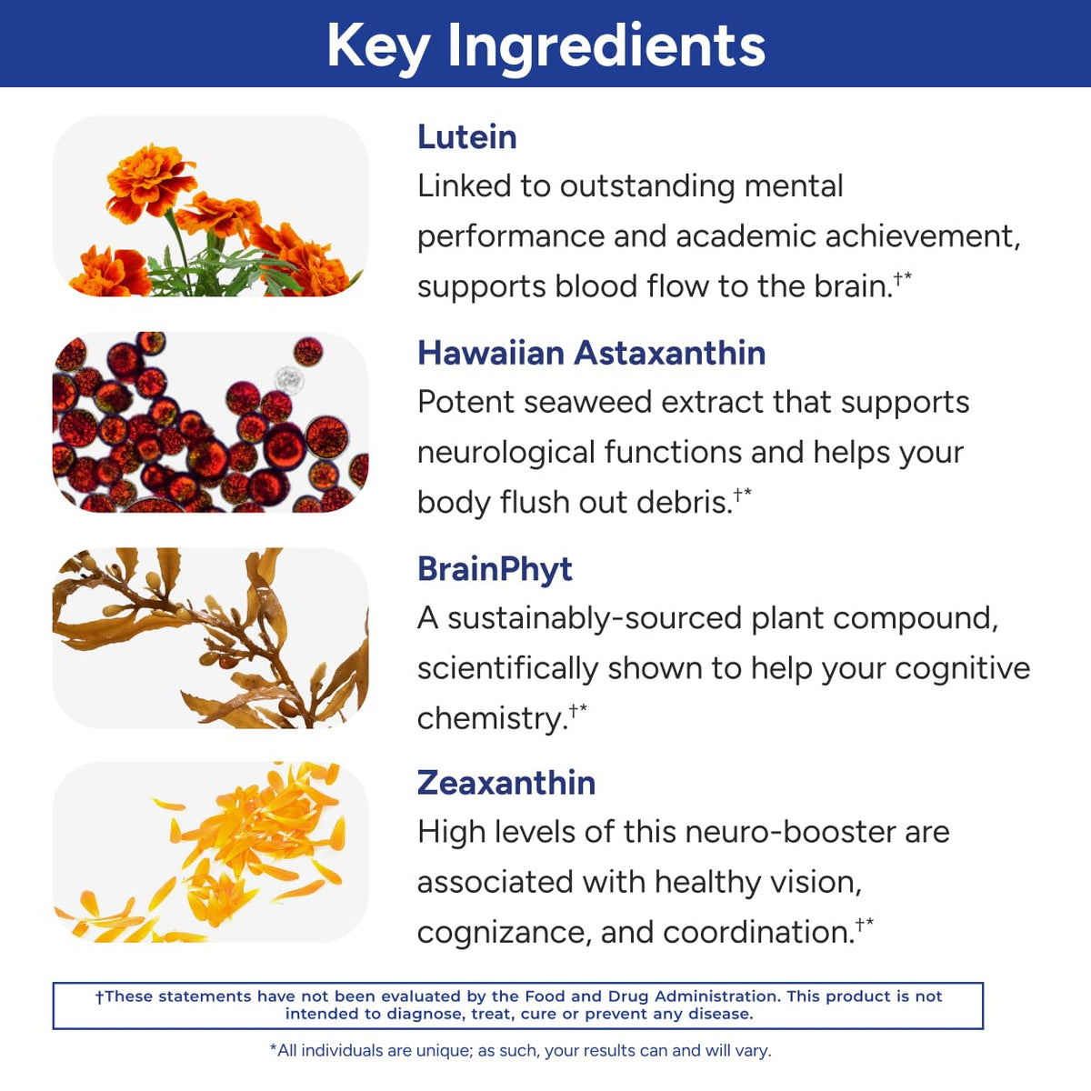 multivitamin for men with brain benefits