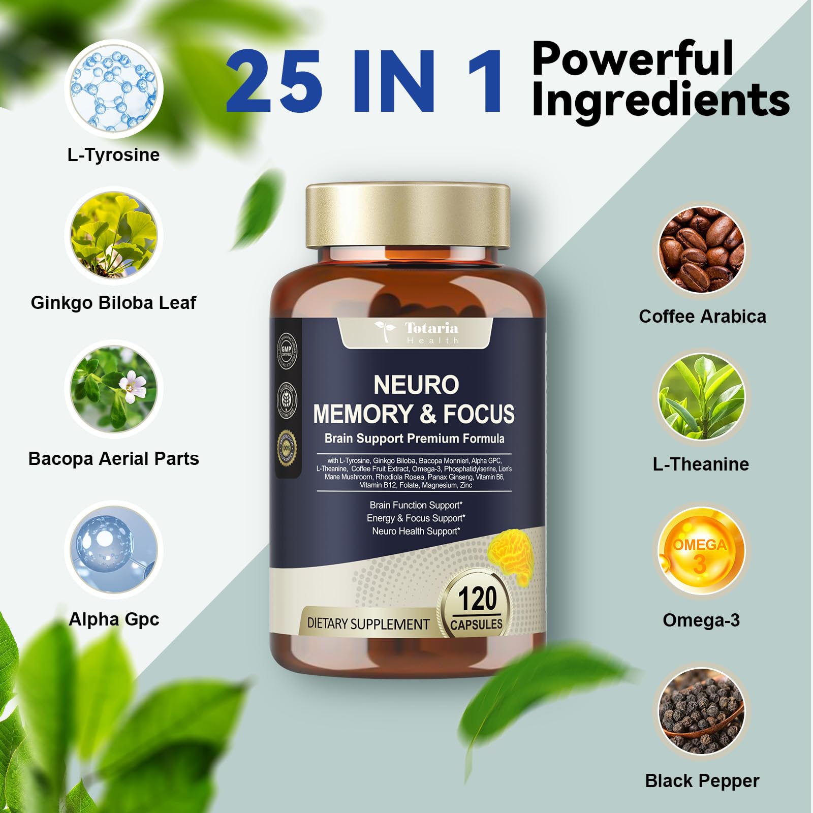multivitamin for men with brain health