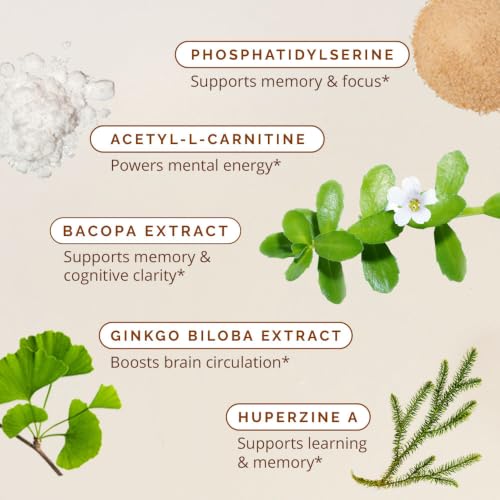 multivitamin for men with brain health