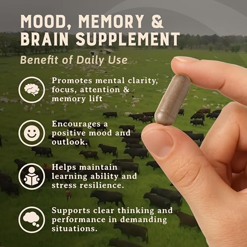 multivitamin for men with brain support