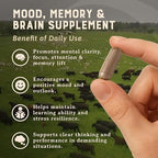 multivitamin for men with brain support