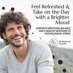 multivitamin for men with calming effects
