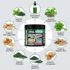 multivitamin for men with chlorophyll benefits