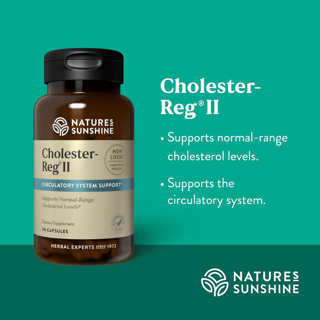 multivitamin for men with cholesterol support