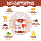 multivitamin for men with cholesterol support