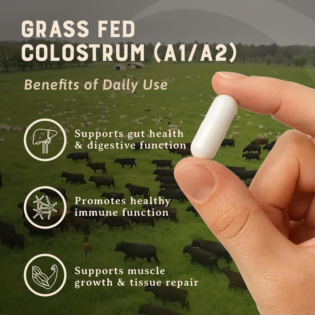multivitamin for men with colostrum