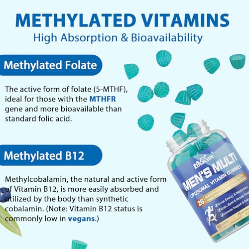 multivitamin for men with CoQ10 support