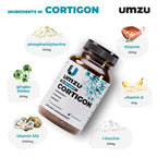 multivitamin for men with cortisol support